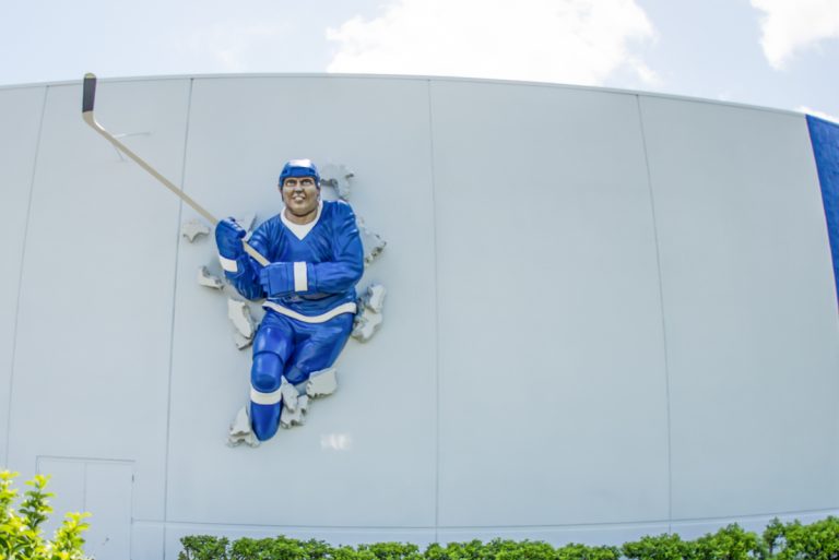 Ellenton Ice and Sports Complex