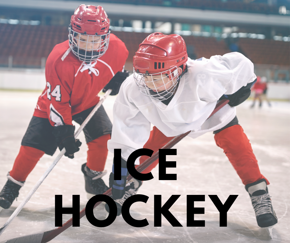 Ellenton Ice and Sports Complex