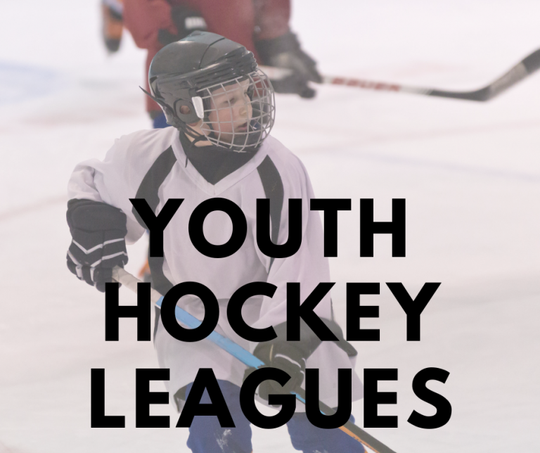 Hockey – Ellenton Ice and Sports Complex